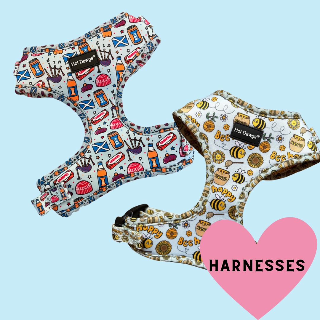 Harnesses – hotdawgsltd